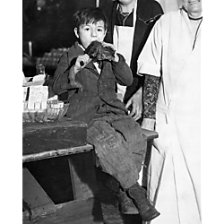 Father Cox Papers | Digital Pitt