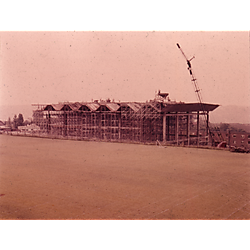 University of Pittsburgh Historic Photographs | Digital Pitt